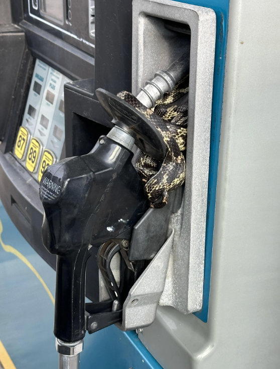 57 Wildly Unsettling Photos That Made Me Go "Nope!"