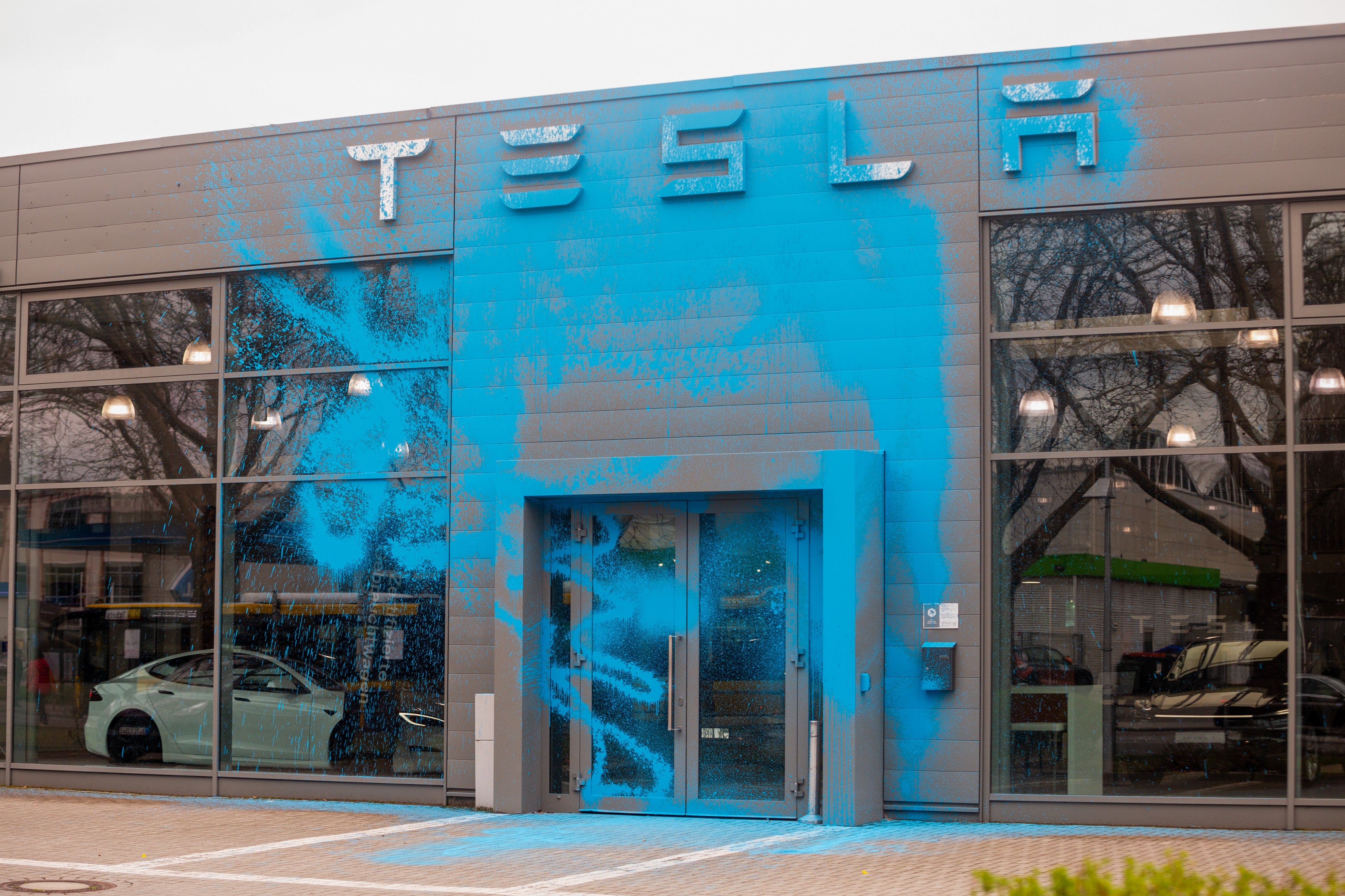Ashley St. Clair Sells Tesla Amid Elon Musk Custody Row