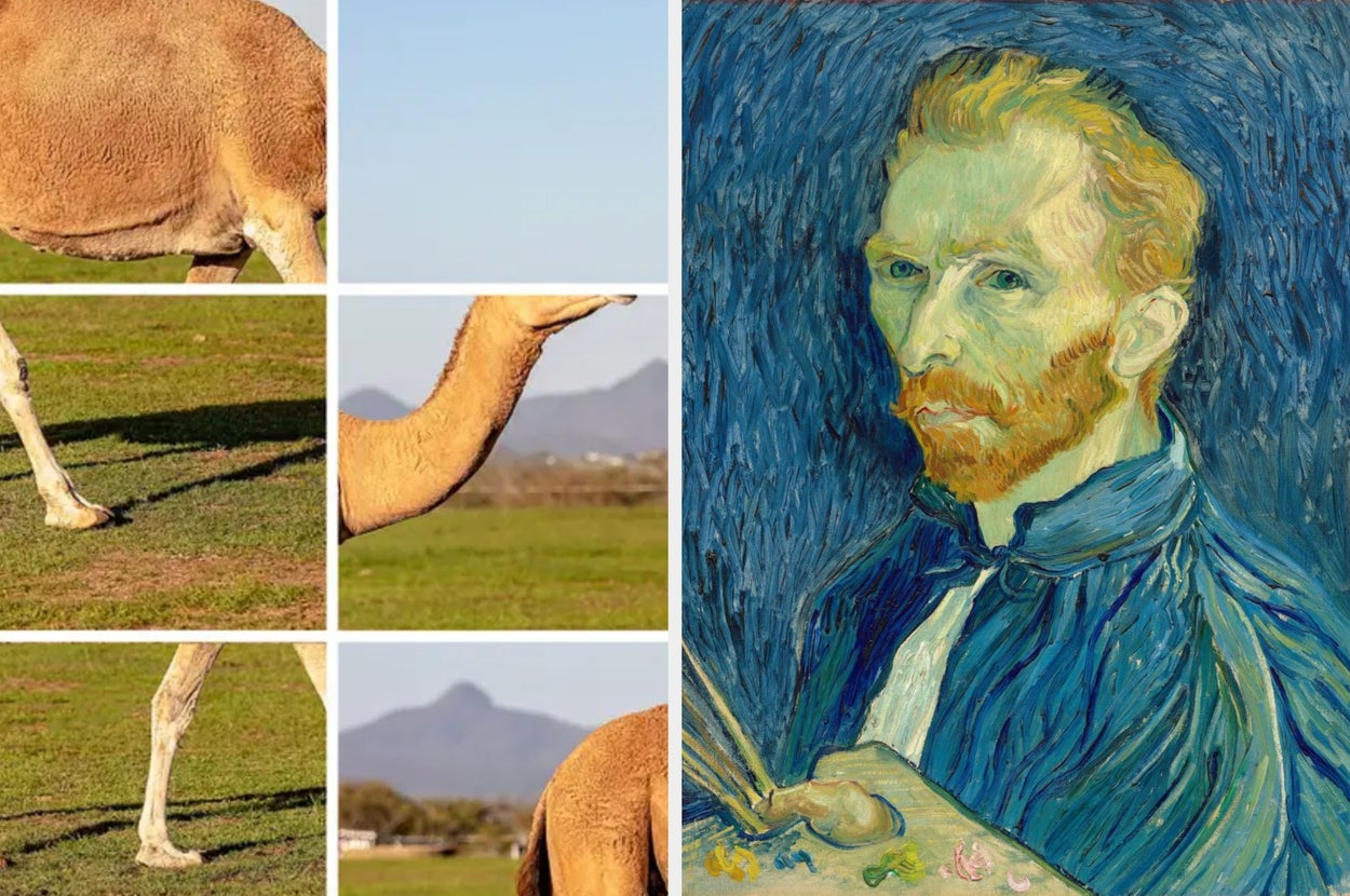 10 Quizzes That Are Perfect To Take If You're Low On Time Or Brain ...