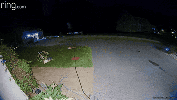 45 Neighbors So Bad They'll Make Your Jaw Drop
