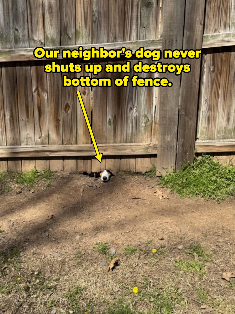 45 Neighbors So Bad They'll Make Your Jaw Drop