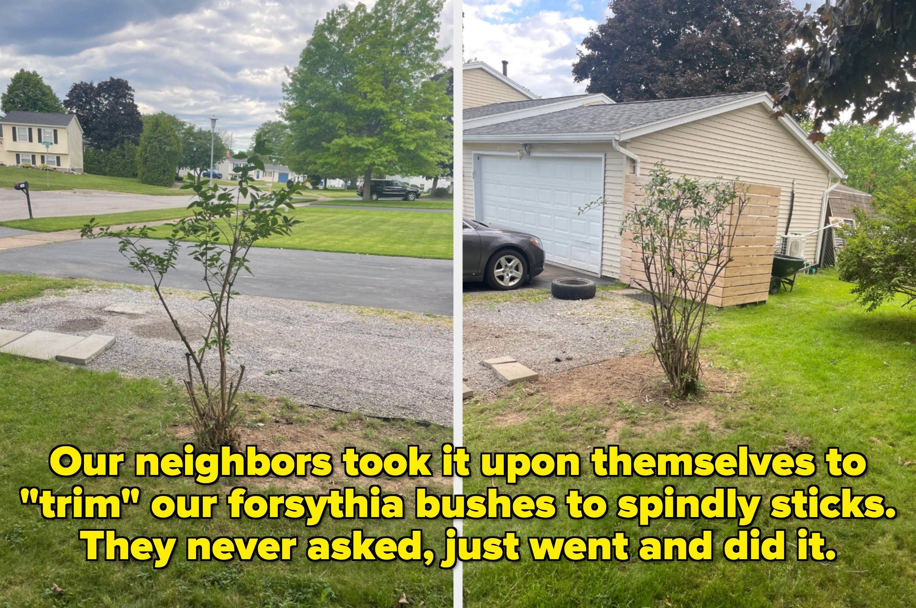45 Neighbors So Bad They'll Make Your Jaw Drop
