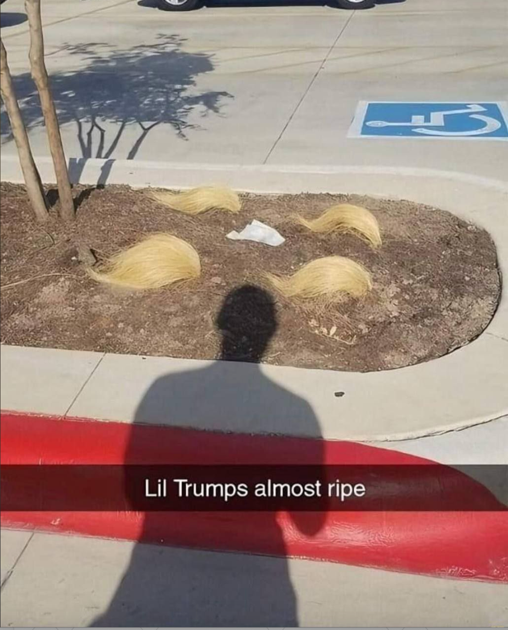 37 Times People Got Roasted So Hard They Needed A Sec