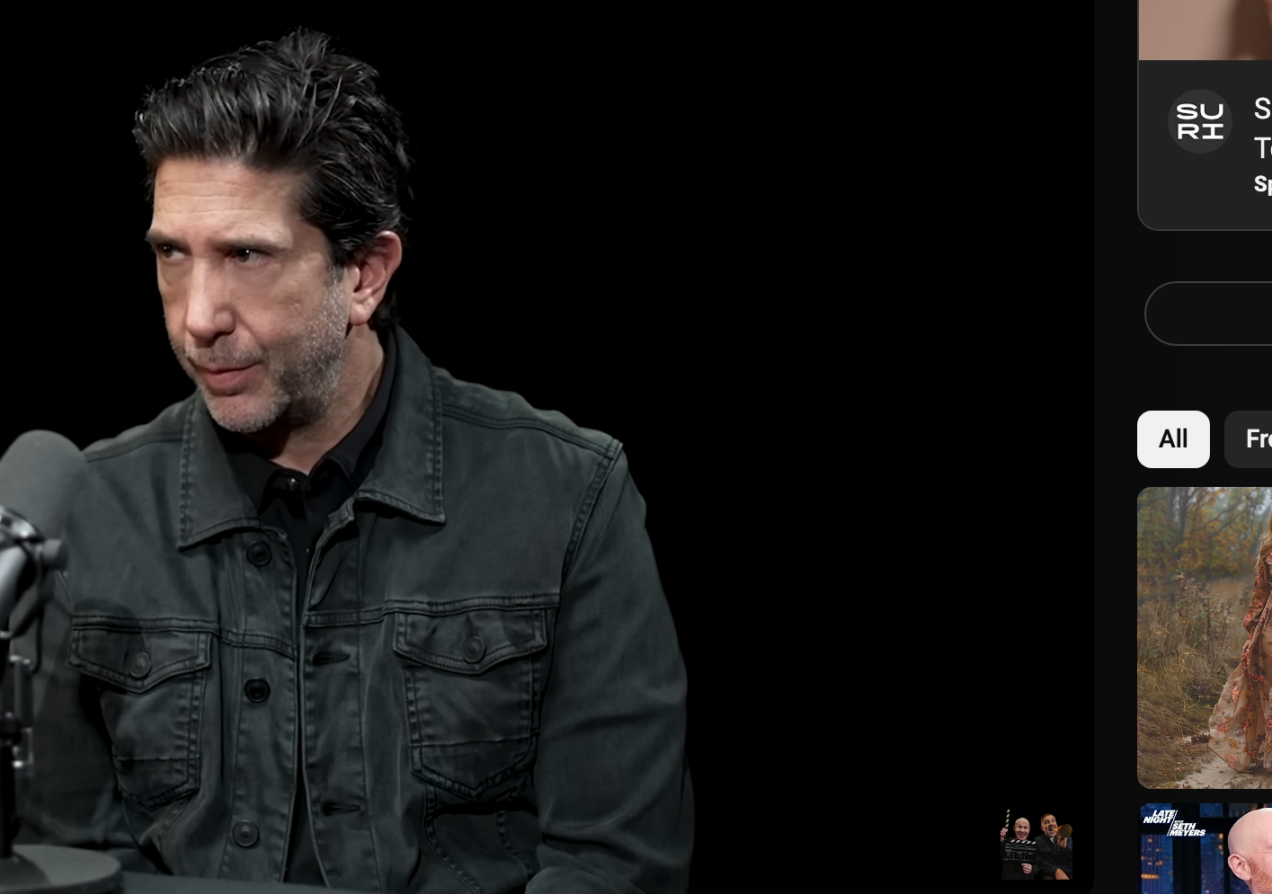 David Schwimmer On Refusing To Watch Friends, Hating Theme Song