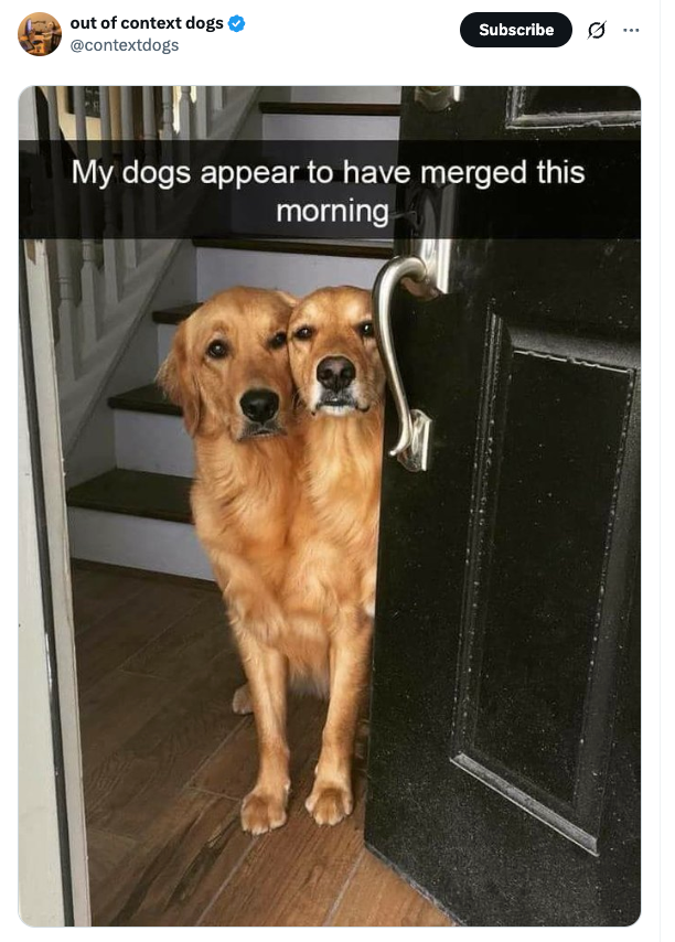 Funniest Pet Tweets On Social Media Last Week