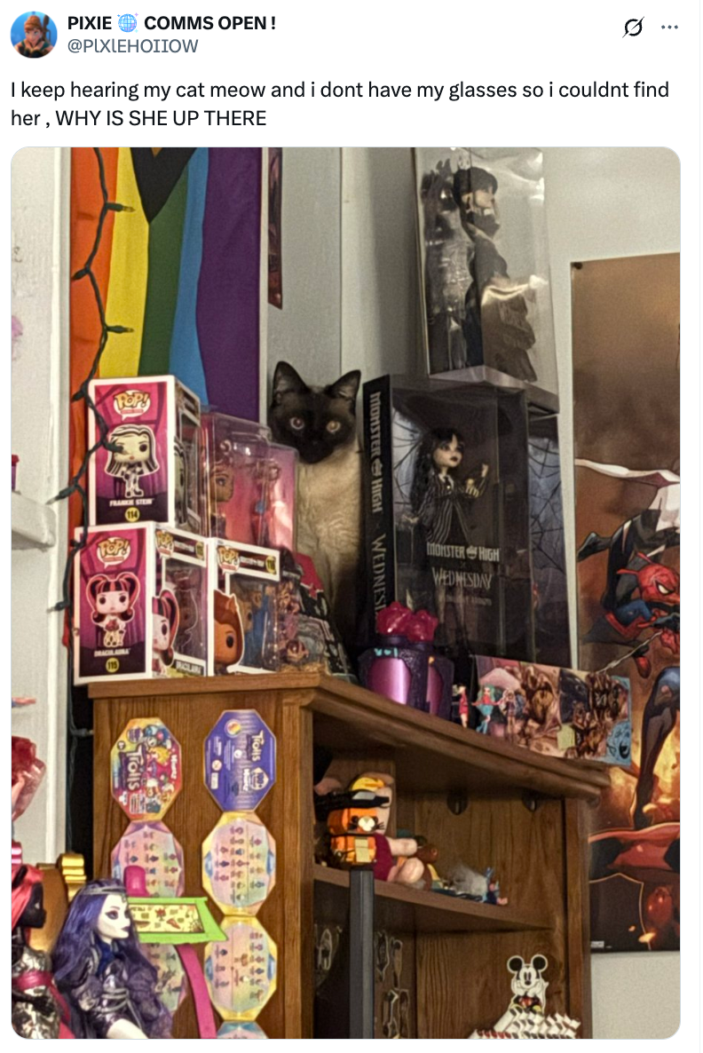 Funniest Pet Tweets On Social Media Last Week