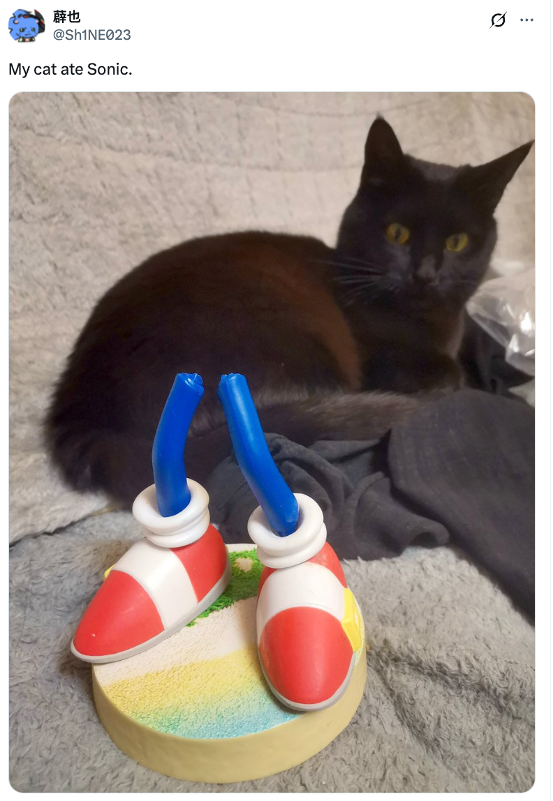 Funniest Pet Tweets On Social Media Last Week