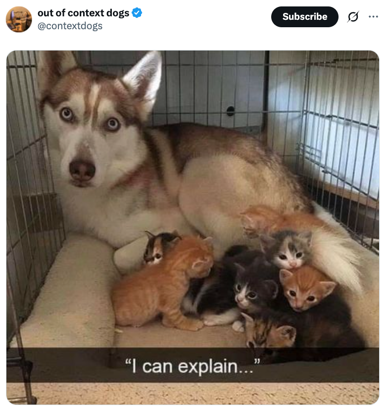 Funniest Pet Tweets On Social Media Last Week