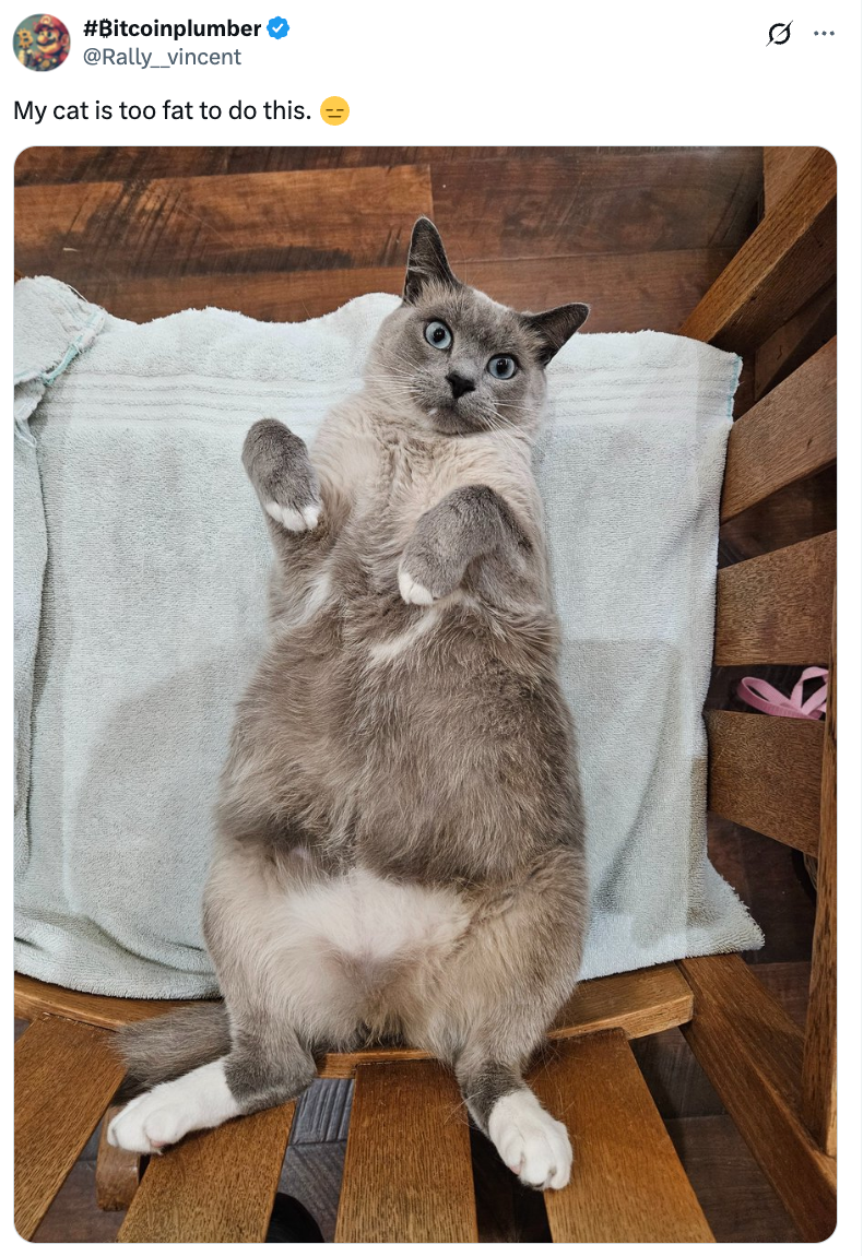 Funniest Pet Tweets On Social Media Last Week