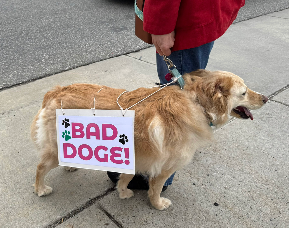 The 22 Most Clever Signs From The Hands Off Protest
