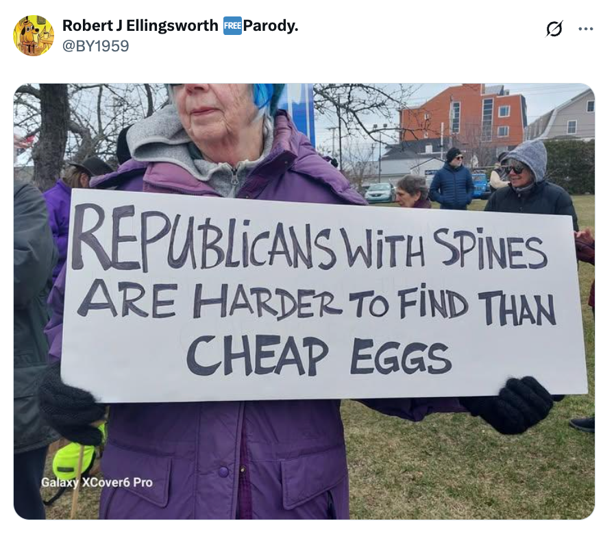 45 Of The Funniest Anti-Trump Protest Signs