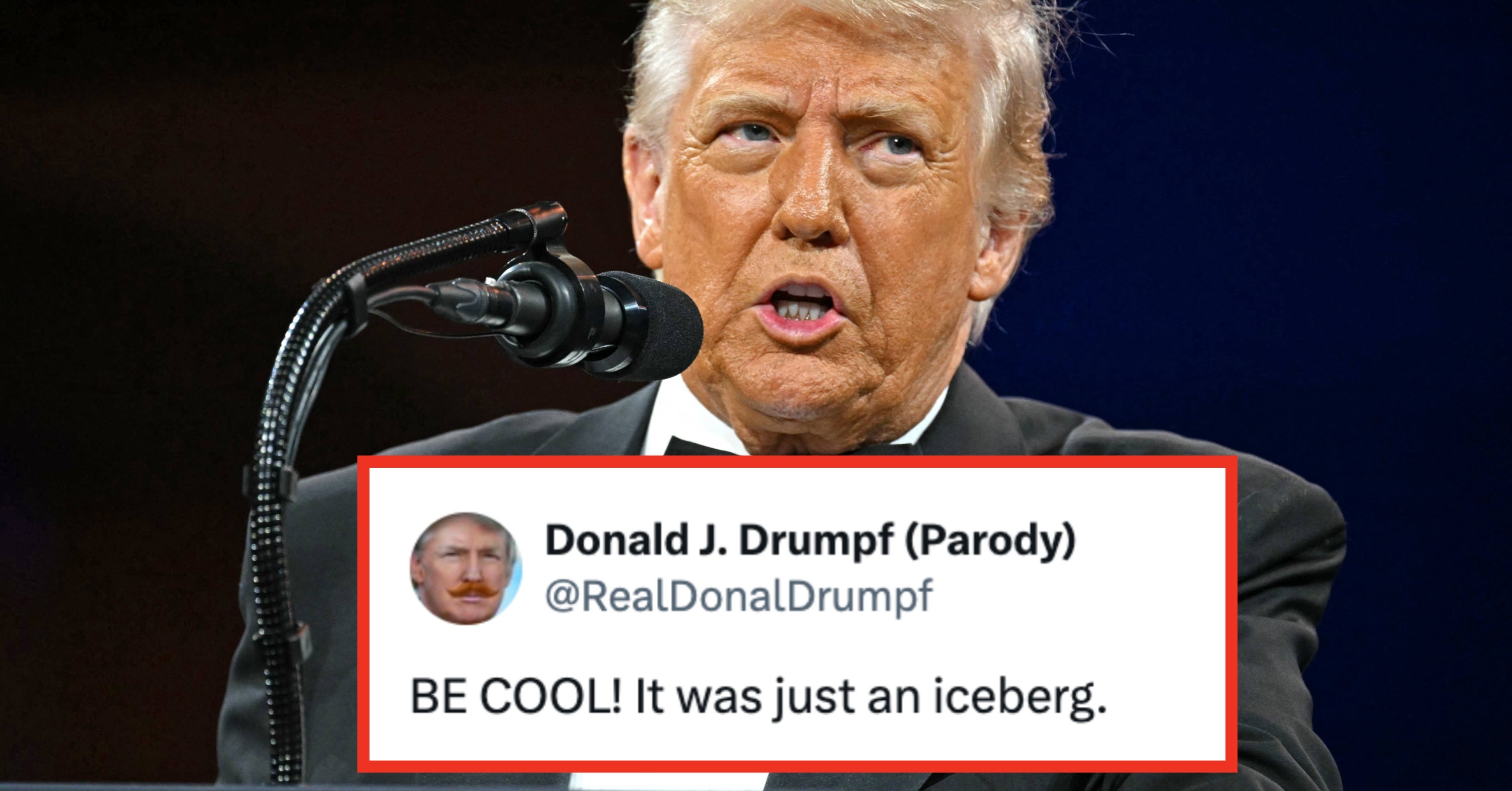 Donald Trump's Questionable Advice For Americans Is Going Viral