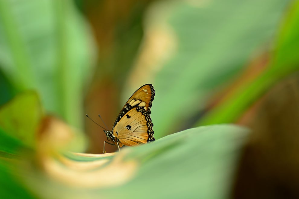 25 Most Common Things That Disappeared In 20 Years