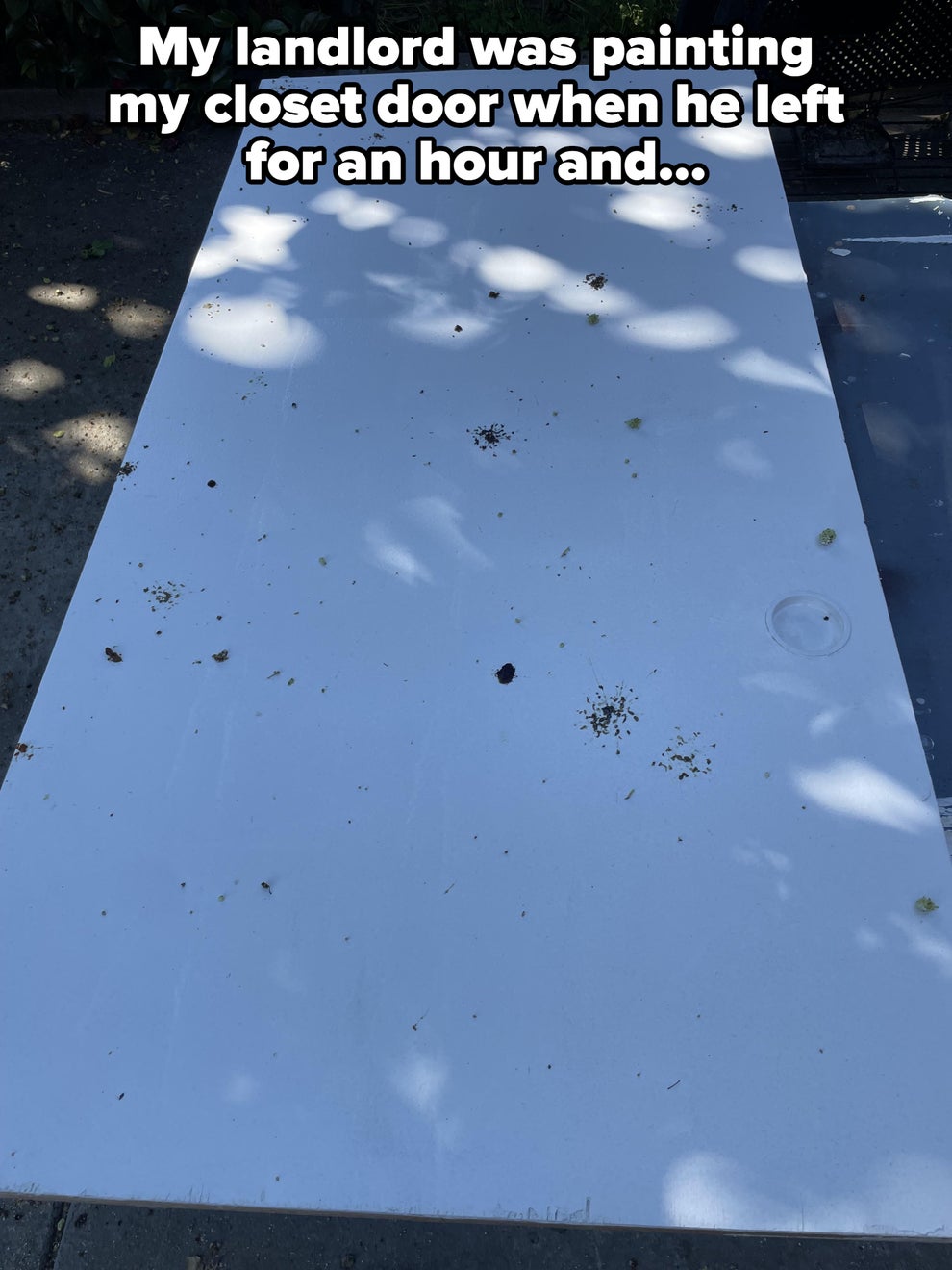 50 Absolutely Terrible Landlords Who Tried To Fix An Apartment And ...