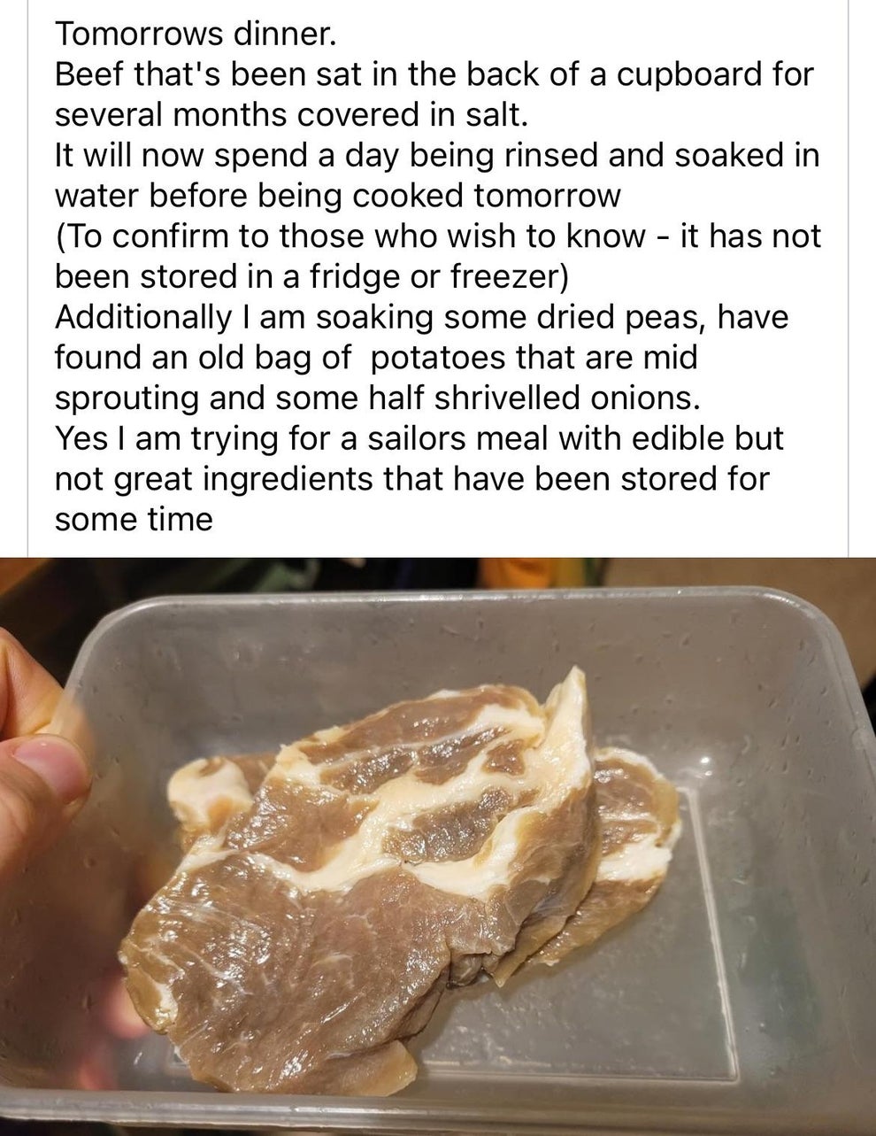 50 Pictures That Prove Human Beings As A Species Are Definitely Not ...