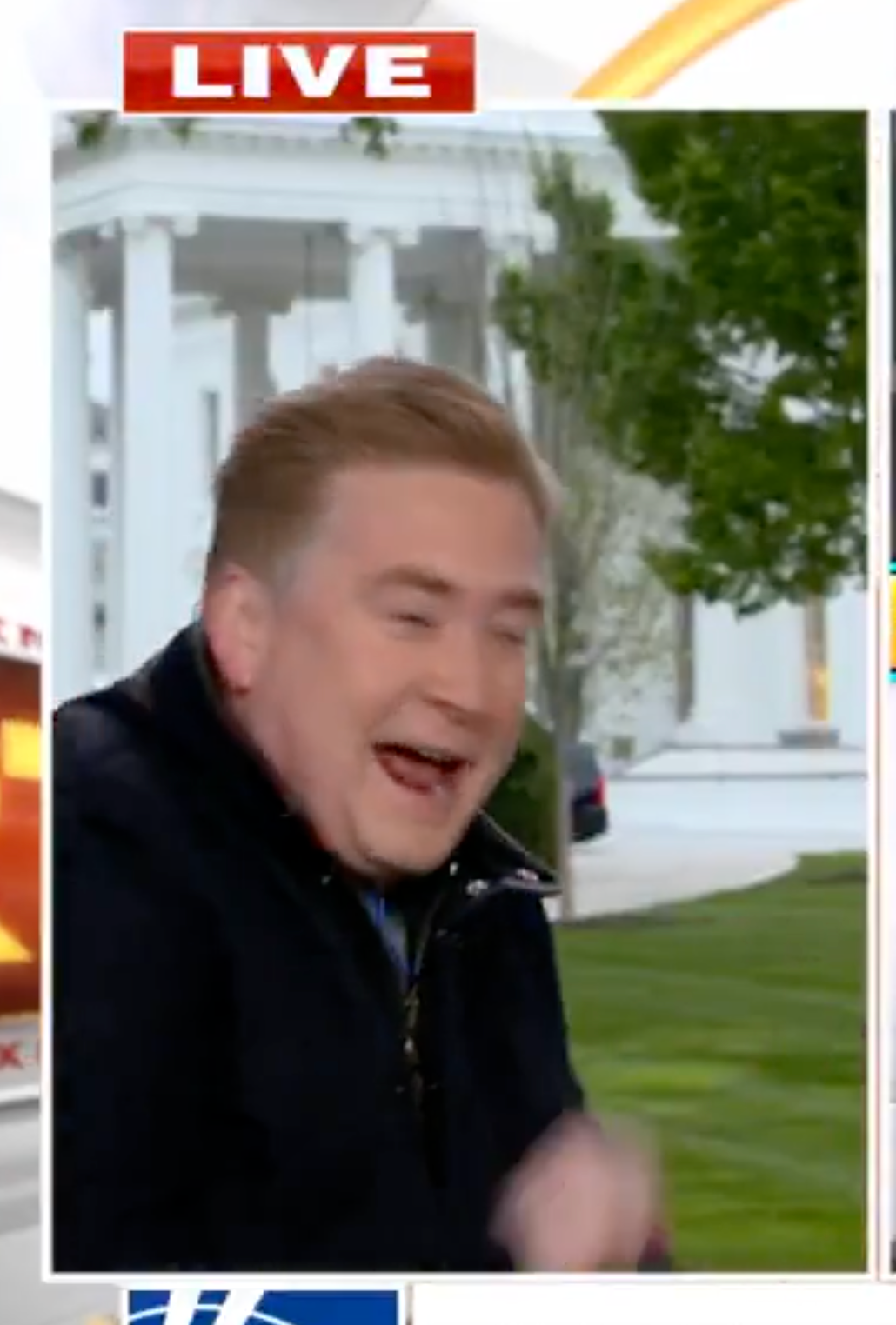 This Video Of A Fox News Reporter Being Attacked By A Bird Is Going Viral