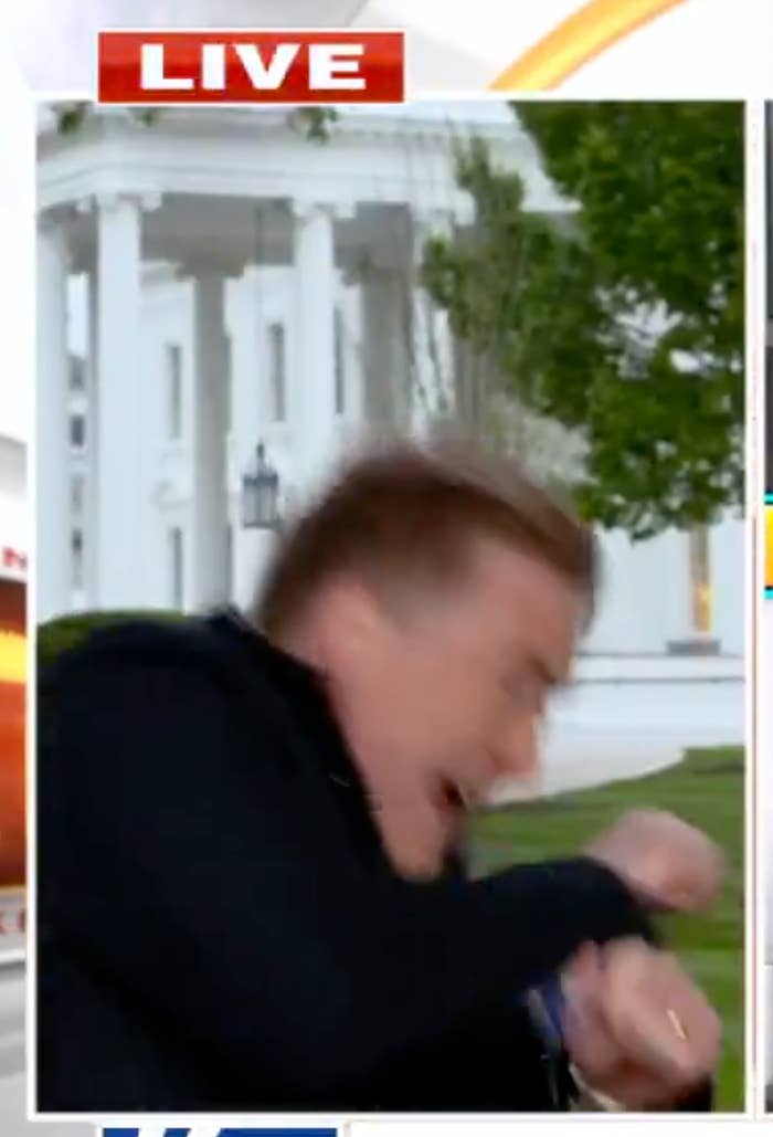 This Video Of A Fox News Reporter Being Attacked By A Bird Is Going Viral