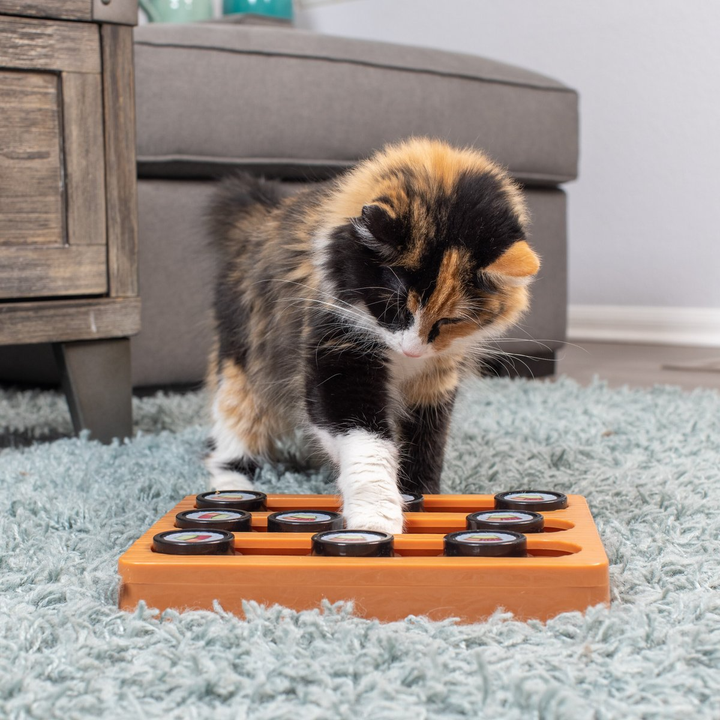 27 Chewy Products Your Cat Will Absolutely Love