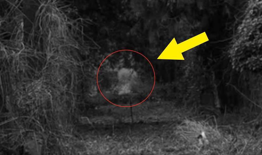 Actual Ghost Sightings