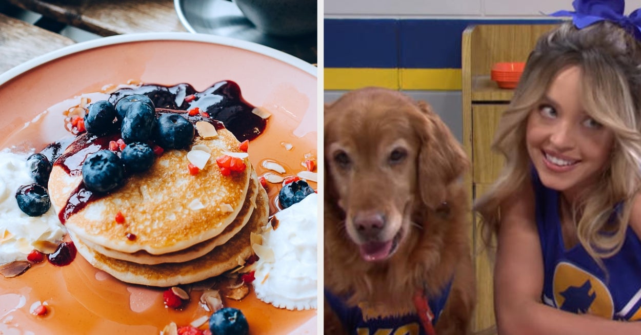 Enjoy A Big Breakfast Buffet And We'll Guess If You're A Dog Person Or ...