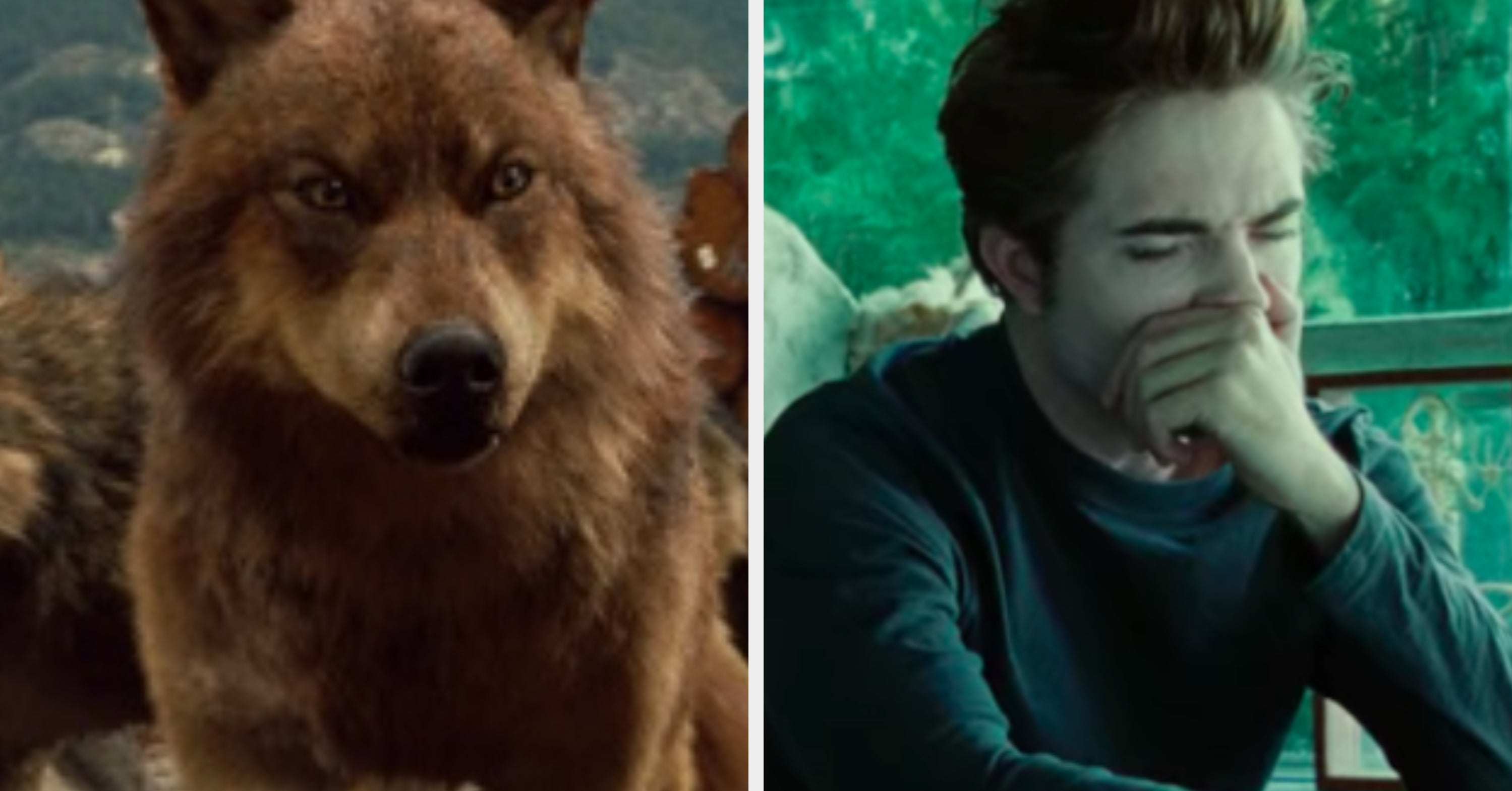 "Twilight" Character Personality Quiz