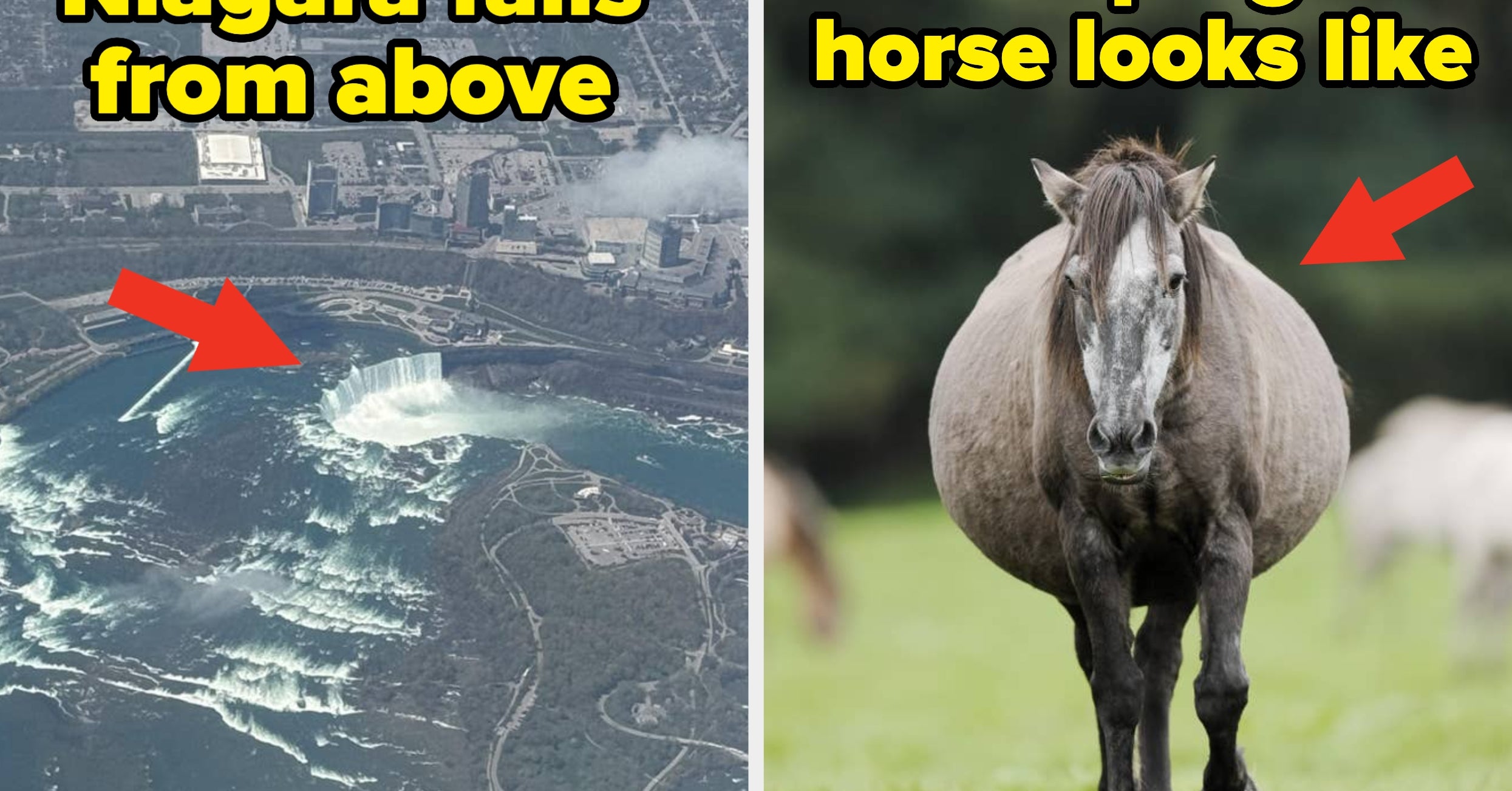 These 25 Absolutely Mind-Blowing Photos Just Completely And Totally ...