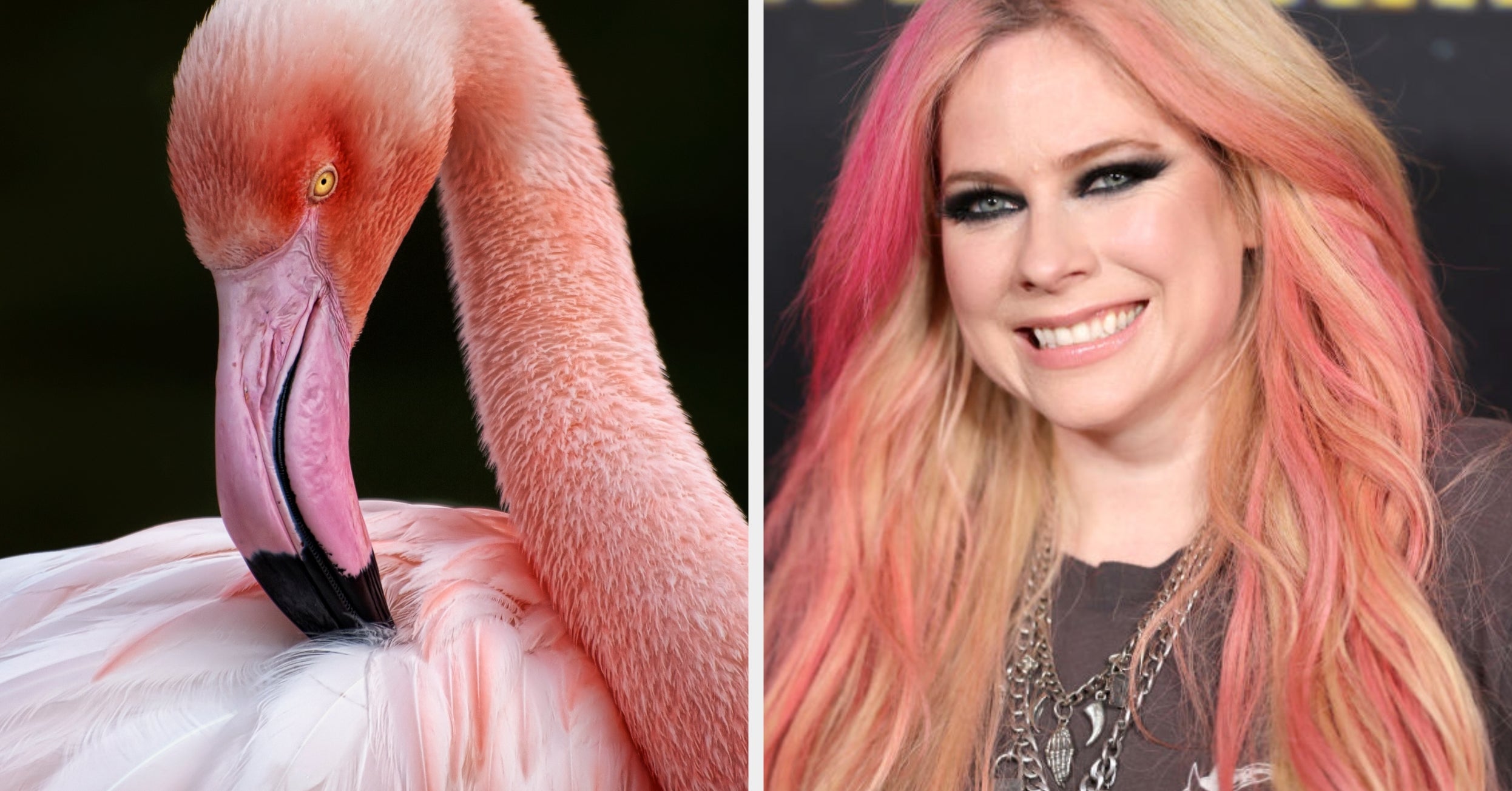 Random Trivia Questions Quiz: Can You Answer Them All?