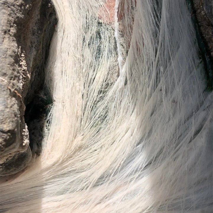 51 Weird Items Identified By People On The Internet