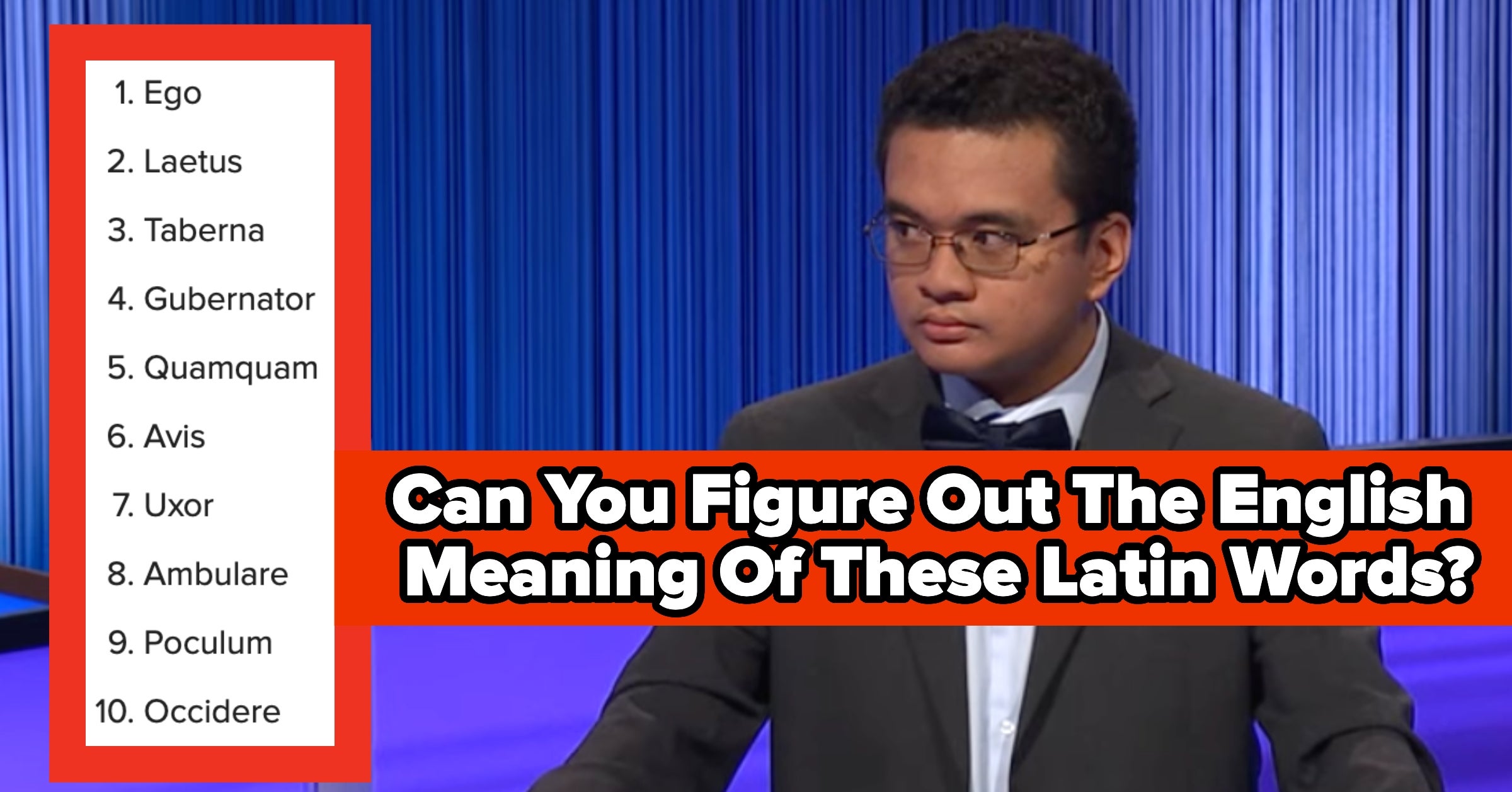 Can You Figure Out The English Meaning Of These Latin Words?