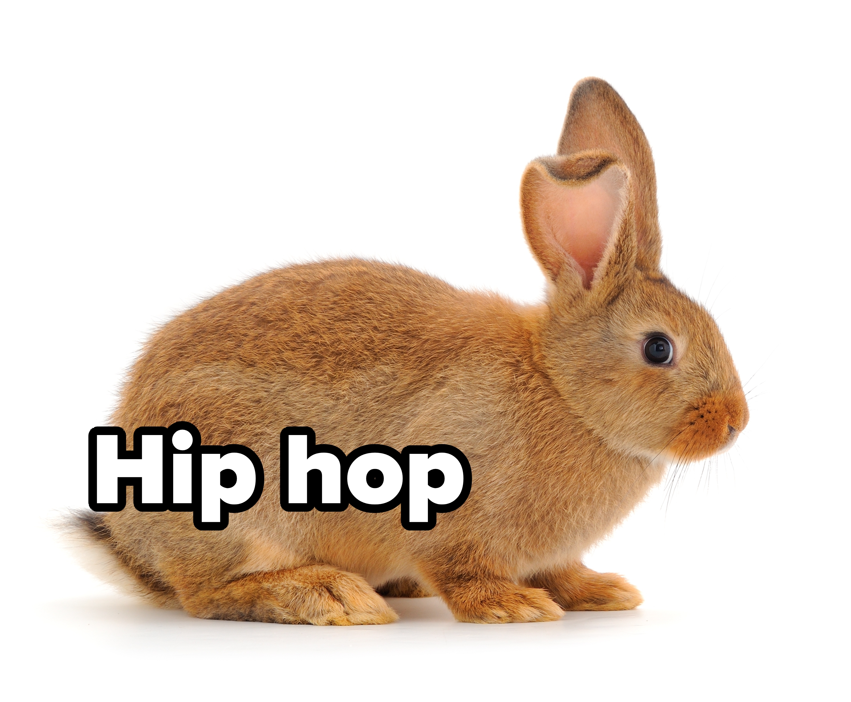 95 Funny Riddles With Answers For A Good Chuckle