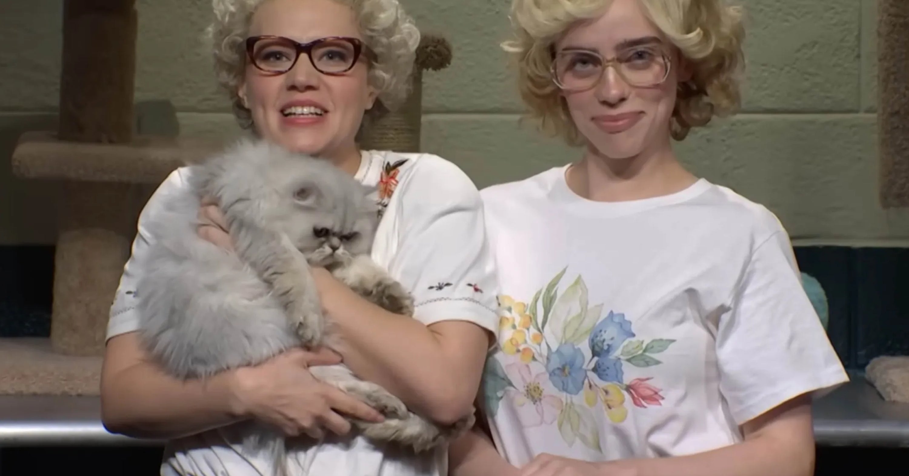 Which Cat Are You Based On The Food You Gobble Up?