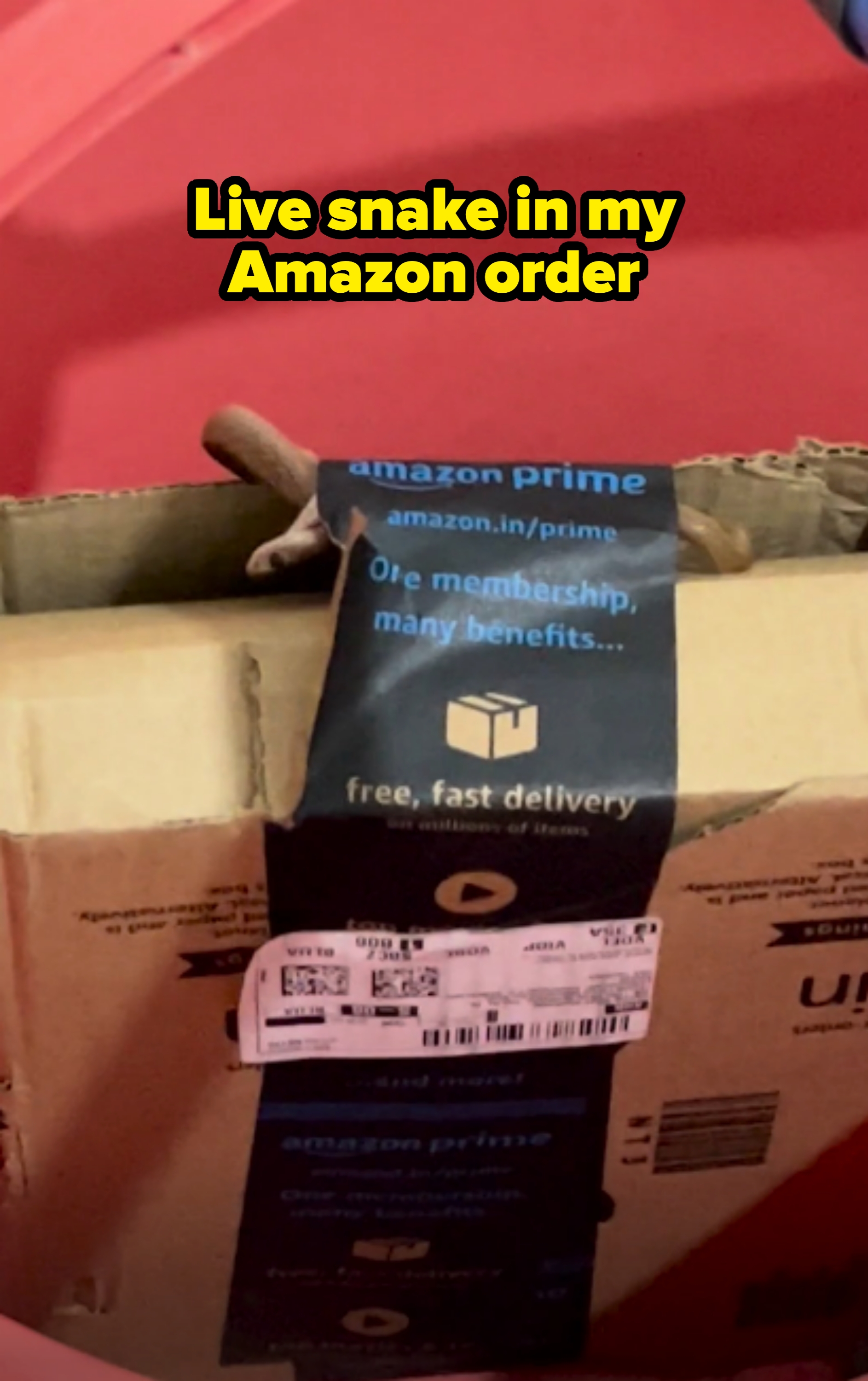 57 Wildly Unsettling Photos That Made Me Go "Nope!"