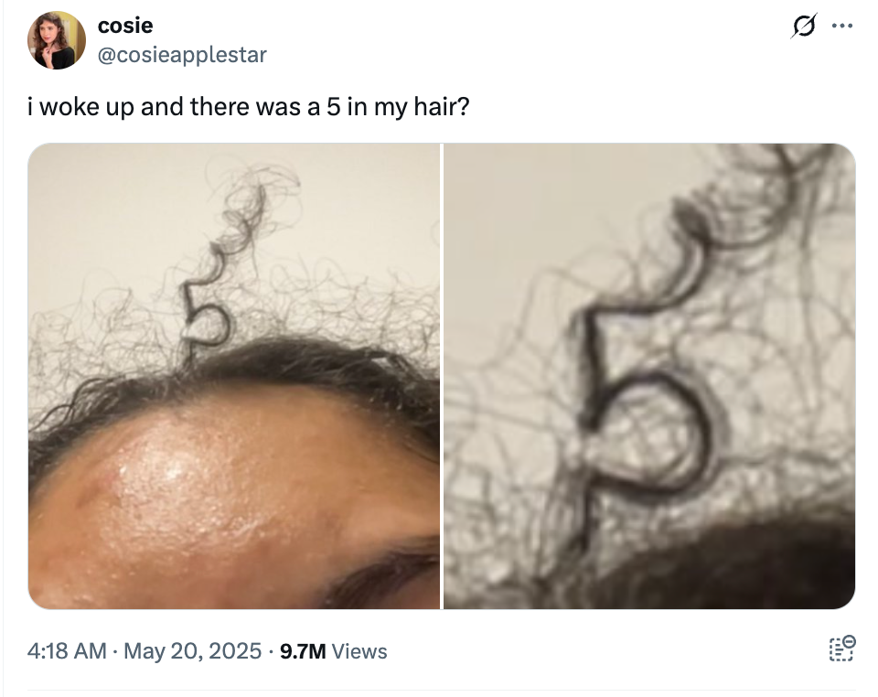 24 Hilarious And Unhinged Tweets From The Week