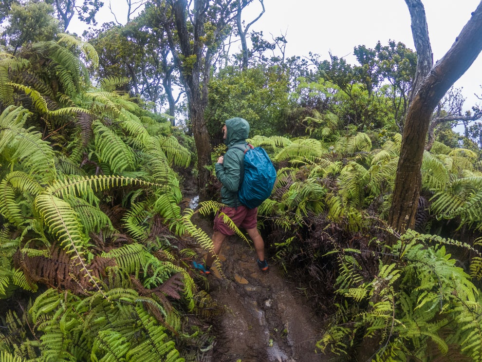 21 "Harsh Realities" Of Living In A Tropical Paradise