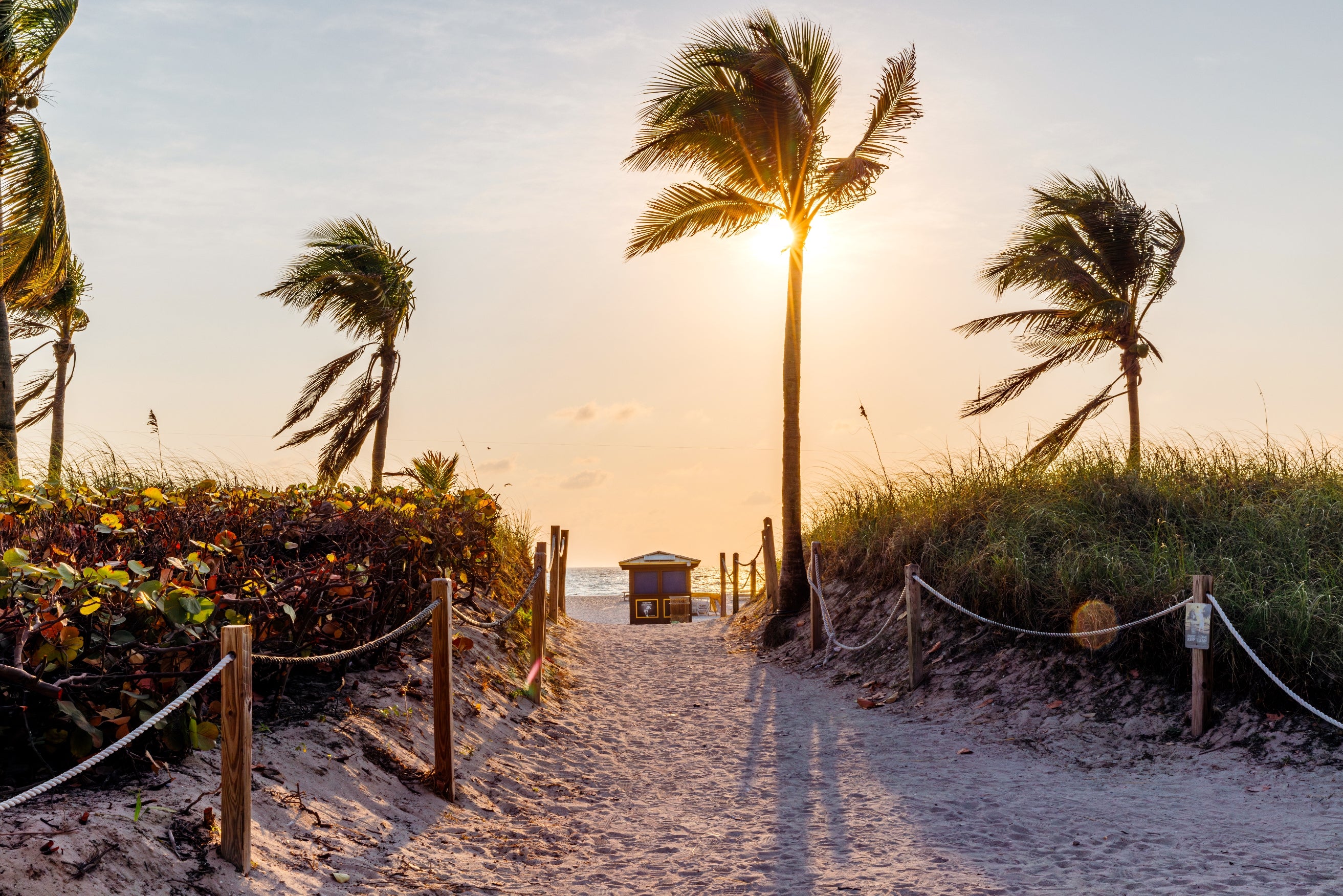 21 "Harsh Realities" Of Living In A Tropical Paradise