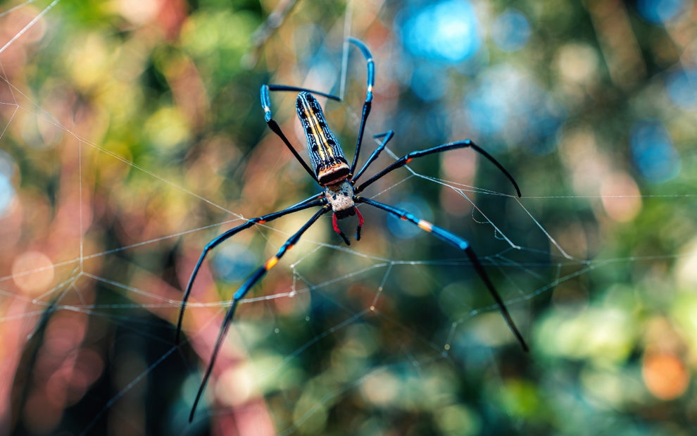 21 "Harsh Realities" Of Living In A Tropical Paradise