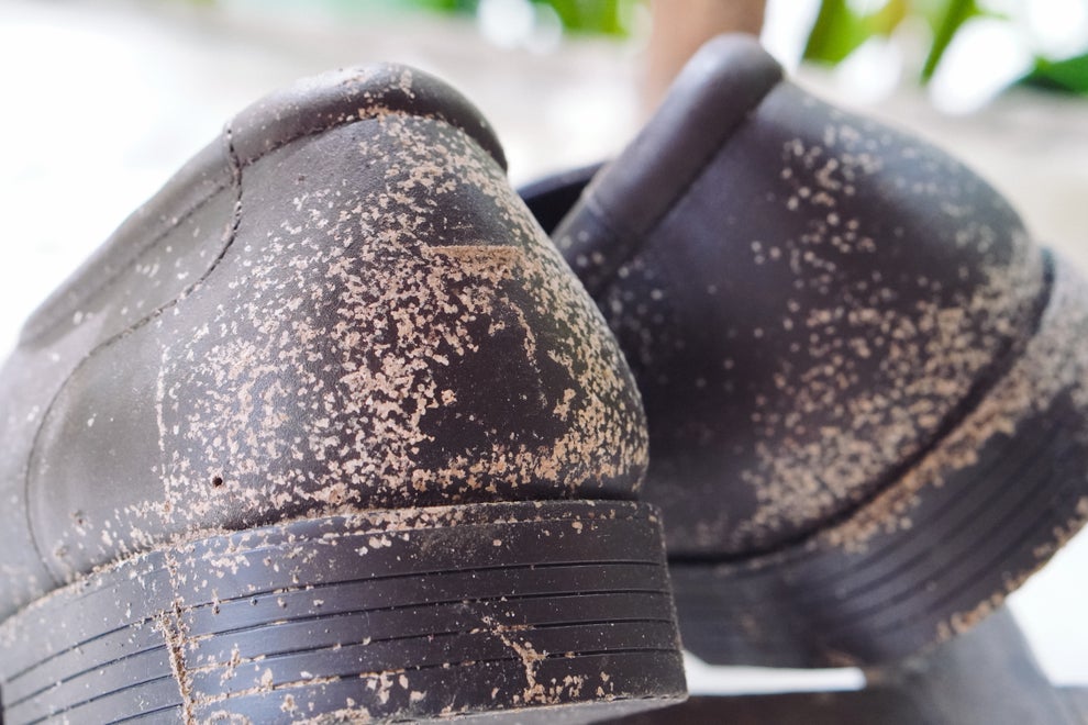 21 "Harsh Realities" Of Living In A Tropical Paradise