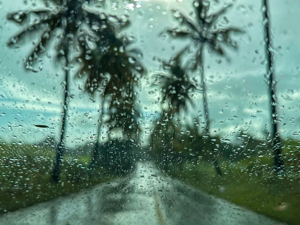 21 "Harsh Realities" Of Living In A Tropical Paradise