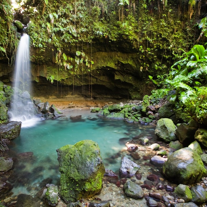 21 "Harsh Realities" Of Living In A Tropical Paradise