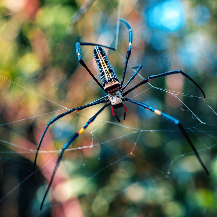 21 "Harsh Realities" Of Living In A Tropical Paradise
