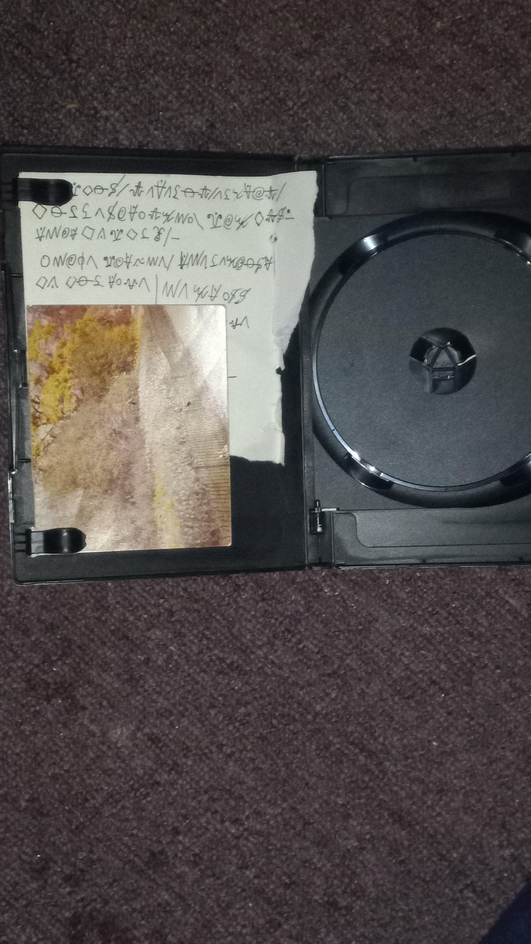 17 Disturbing Finds Captured On Camera