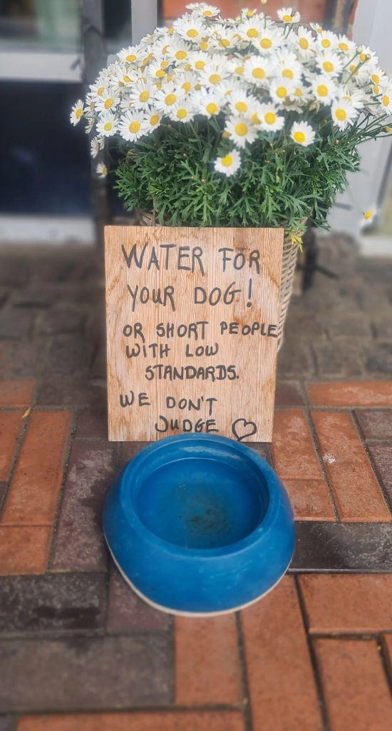 Can't-Miss Funny Signs: 13 Absolutely Hilarious Ones