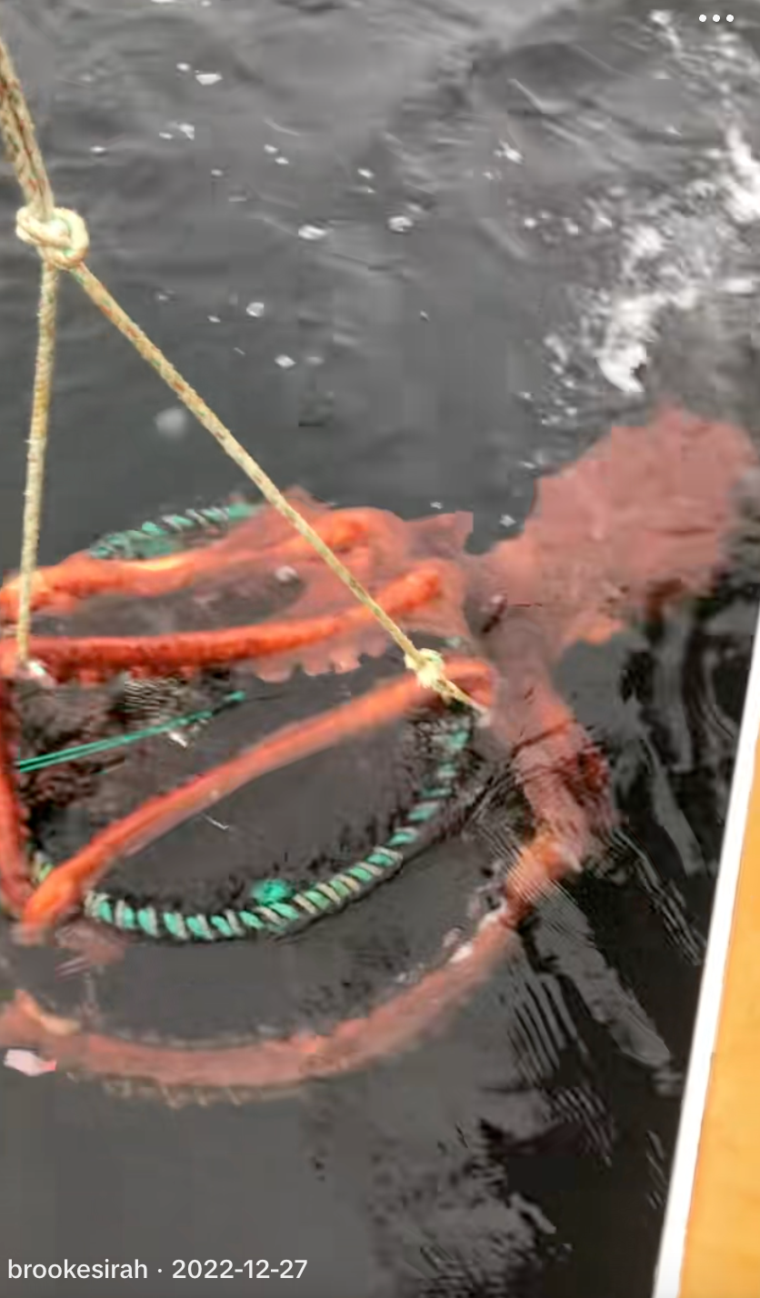 19 Things That Are Way, Way Larger Than They Should Be