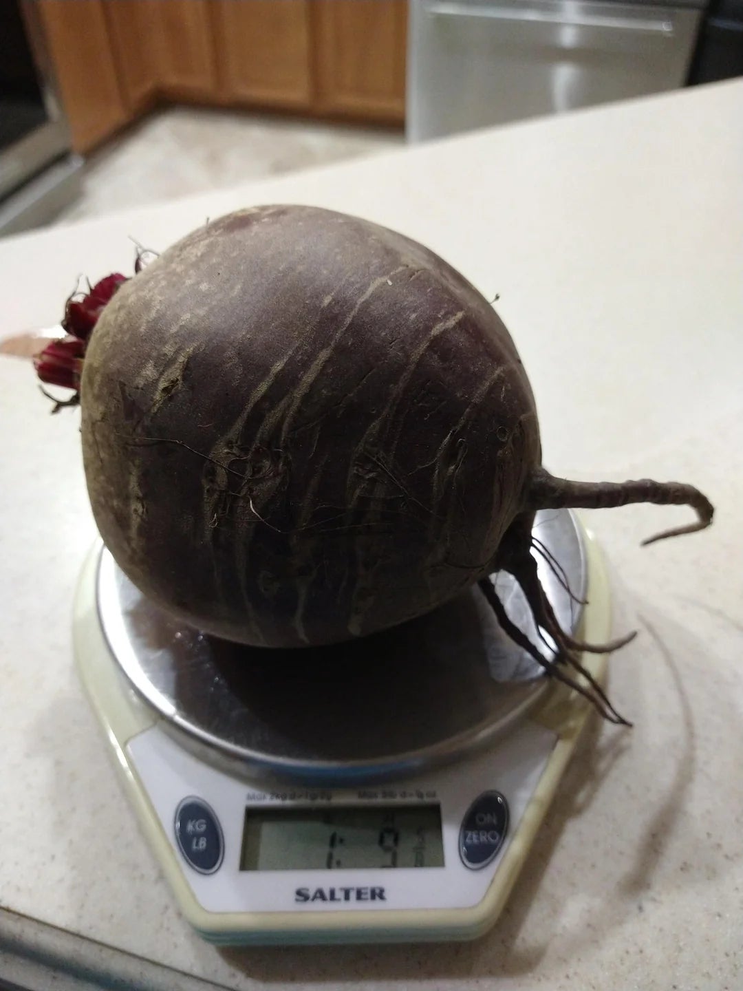 19 Things That Are Way, Way Larger Than They Should Be