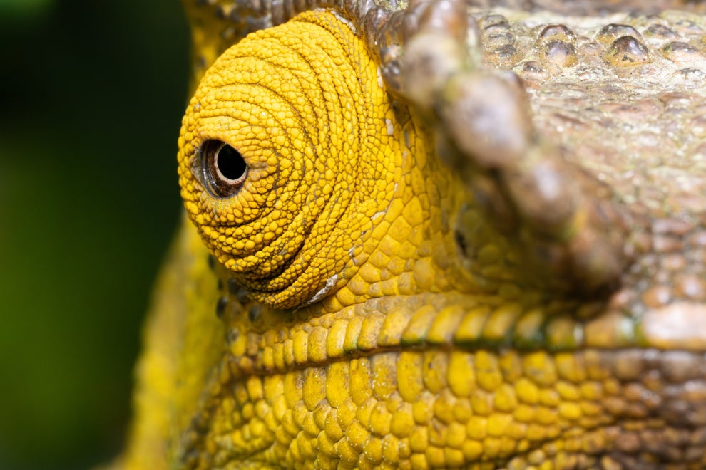 37 Rare Phobias People Actually Have