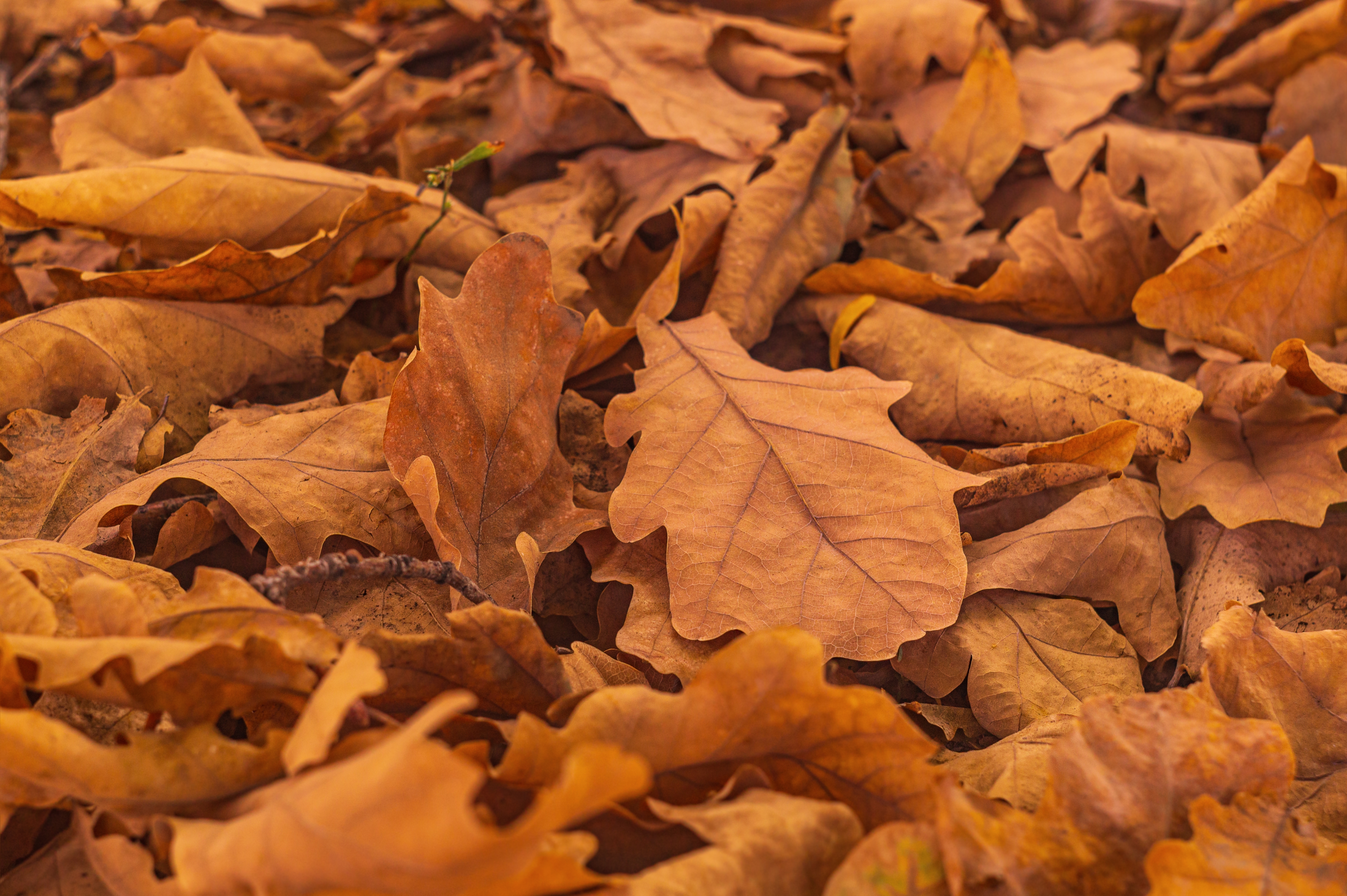 21 Wholesome "Childish" Habits Adults Refuse To Give Up