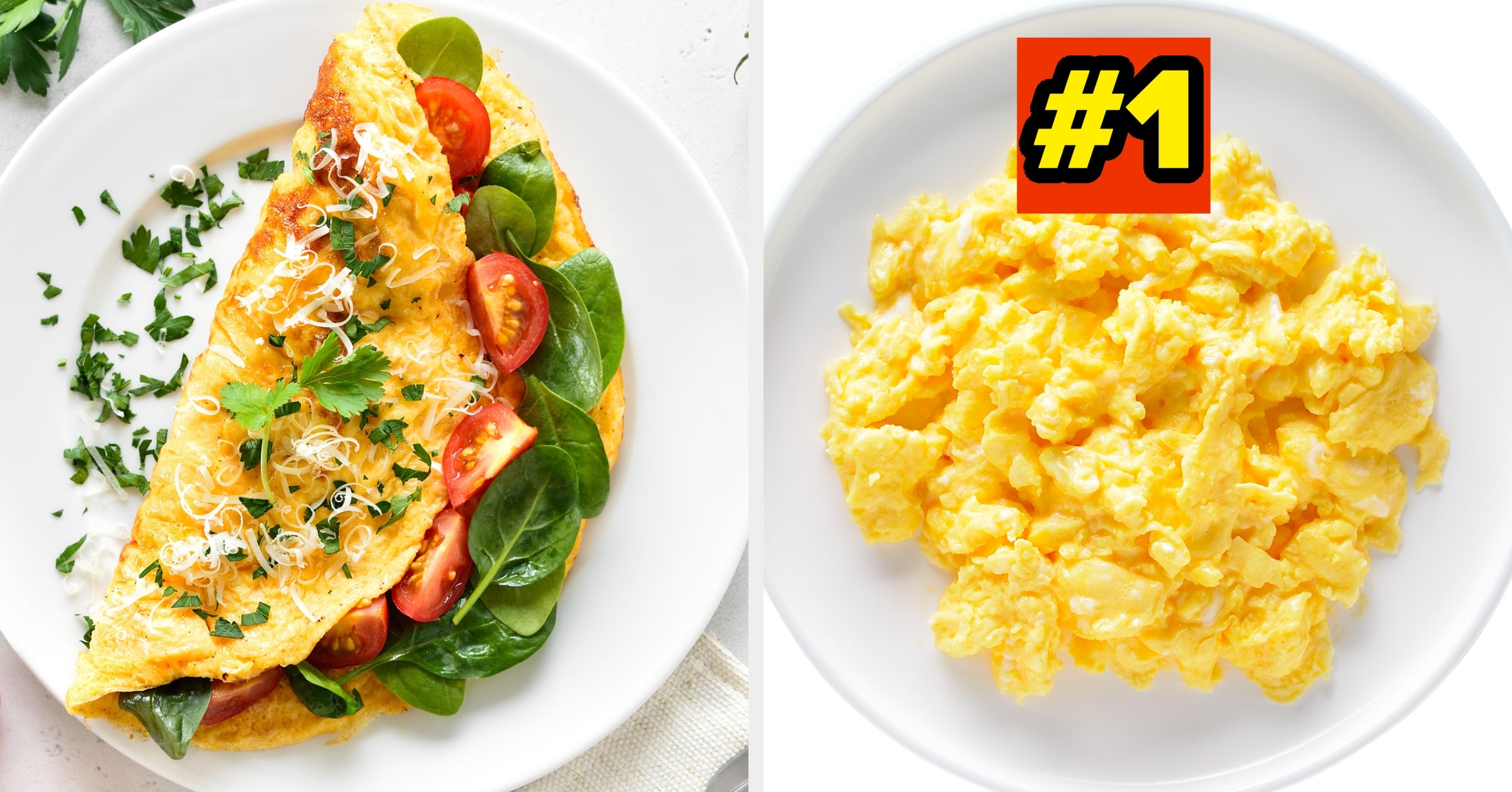 The Ultimate Egg Showdown!