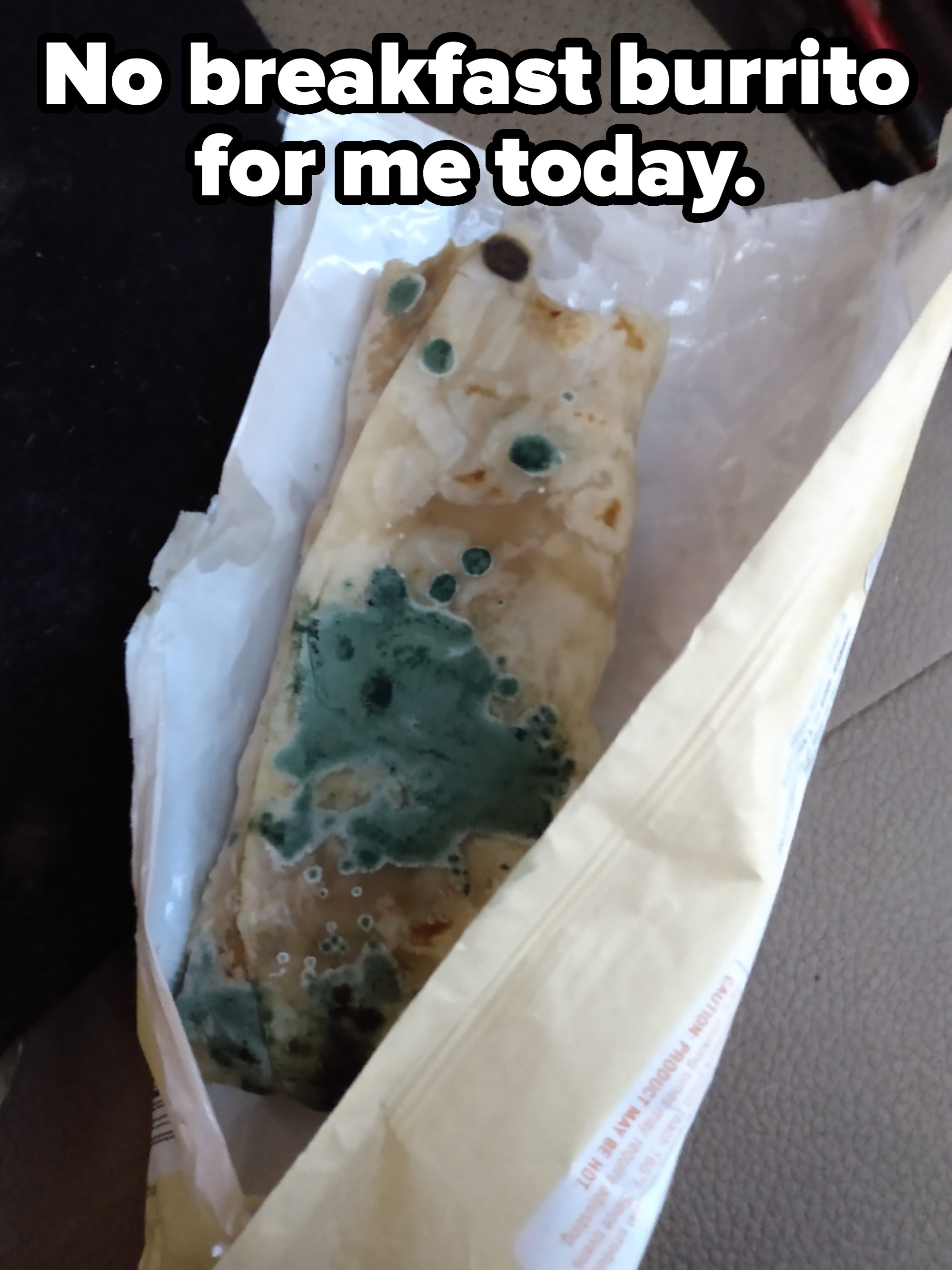 23 People Who Woke Up One Morning Last Week And Pretty Much Immediately ...