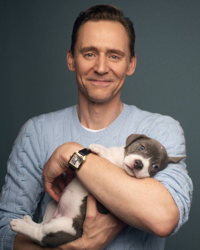 Tom Hiddleston Puppy Interview