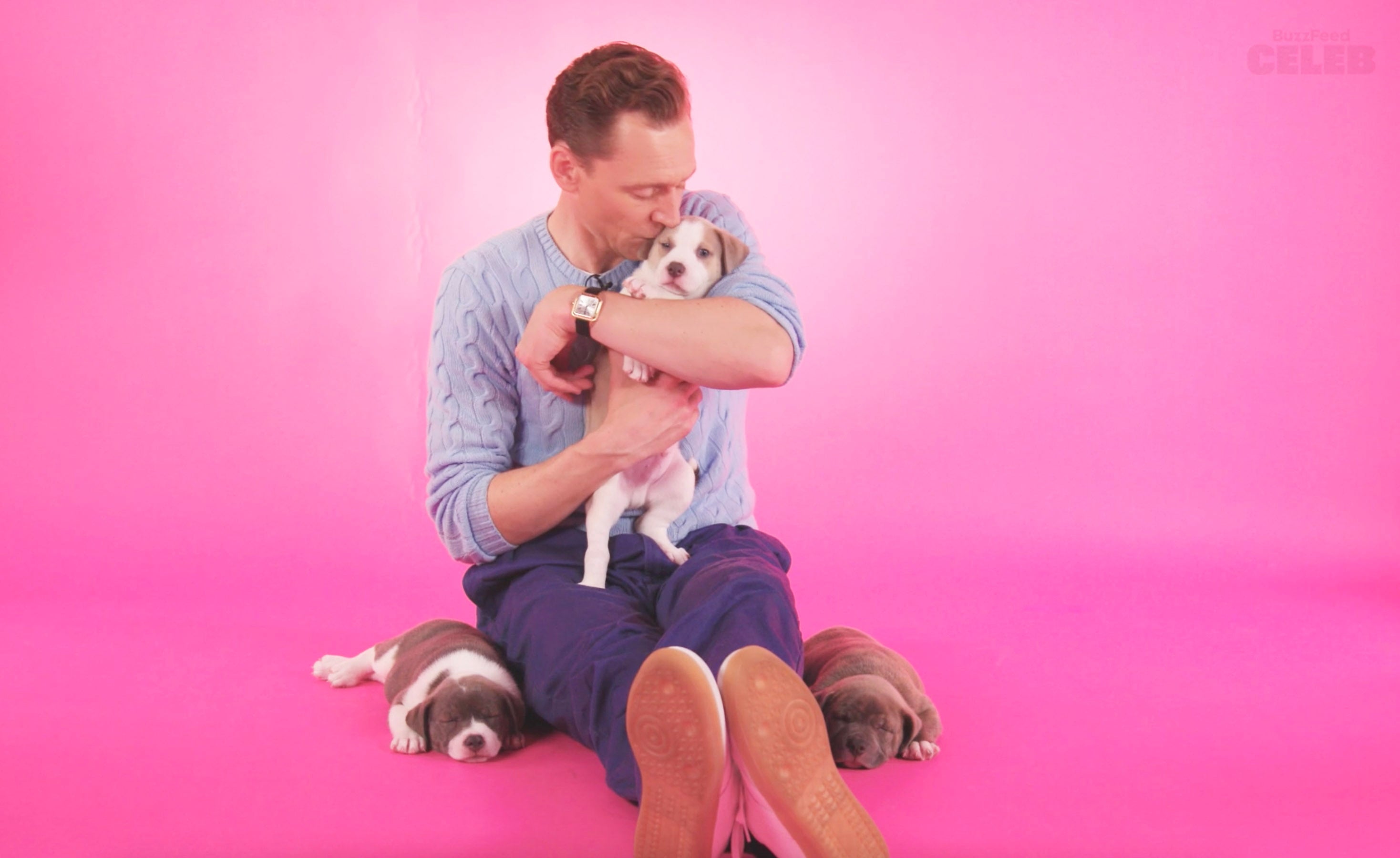 Tom Hiddleston Puppy Interview